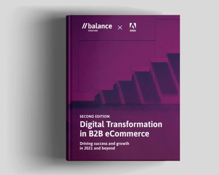 Just launched: Digital Transformation in B2B eCommerce